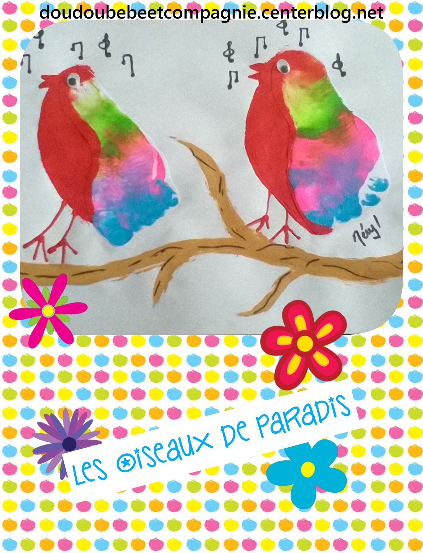 Les oiseaux de paradis